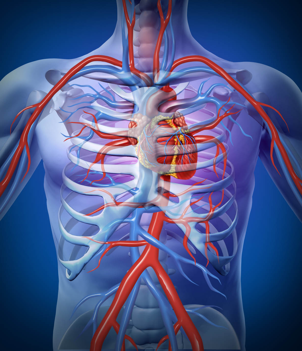 Human Respiratory System Diseases Health N Well
